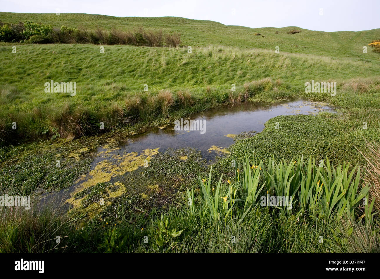 Natural pond Dunraven Park Coastal path Heritage Coast Southerndown ...