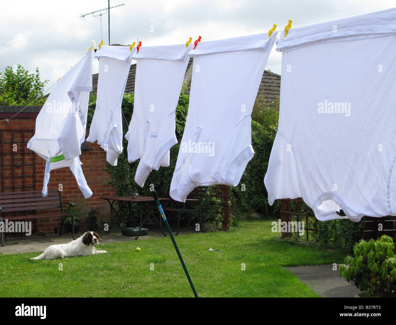Wash Day, clothes, washing line, blowing dry in wind, back garden, good ...