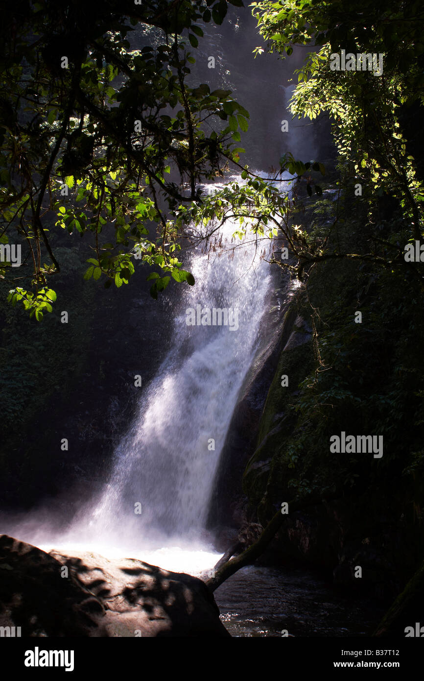 Atlantic forest brazil waterfall hi-res stock photography and images ...