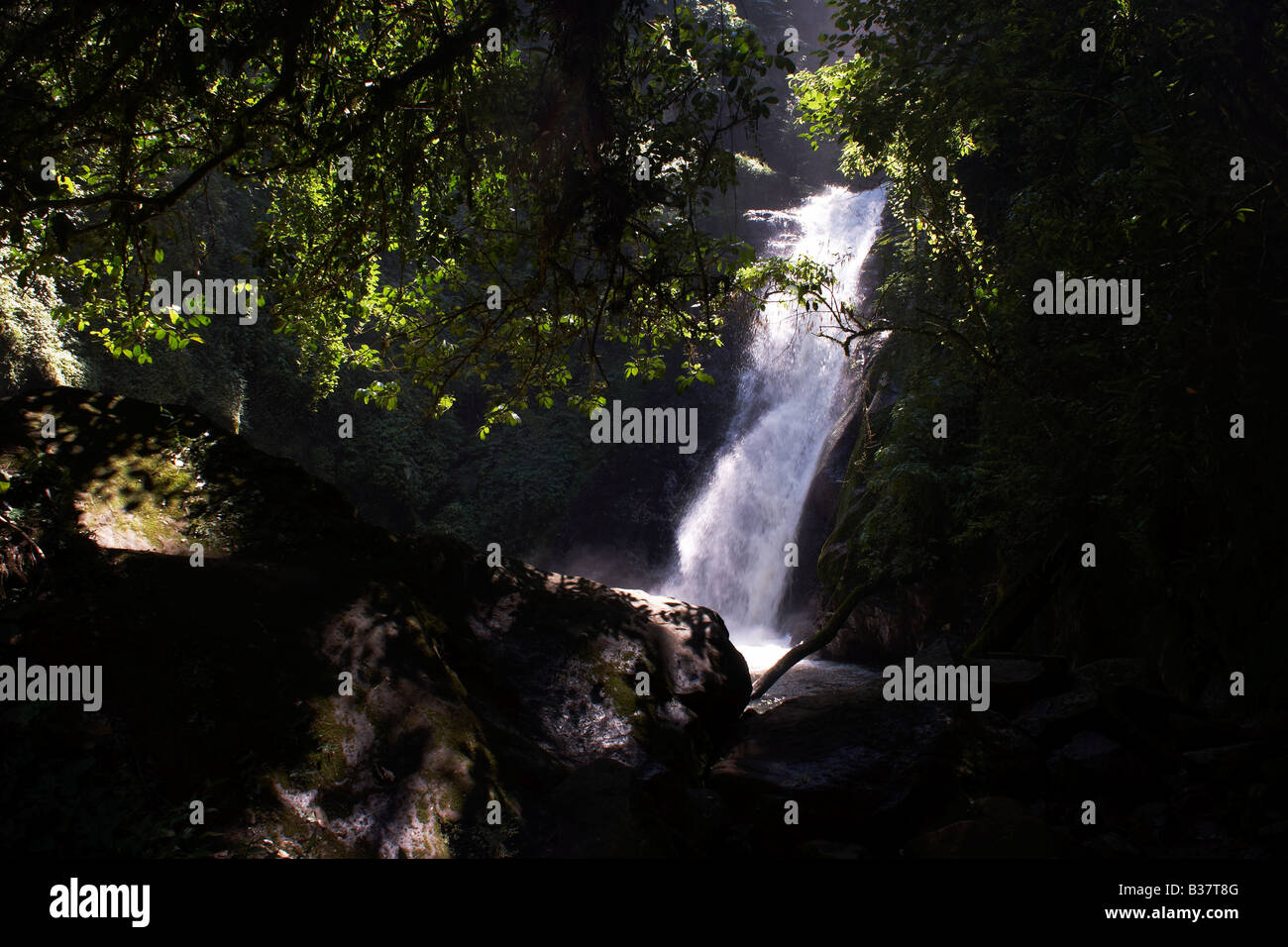 Atlantic forest brazil waterfall hi-res stock photography and images ...