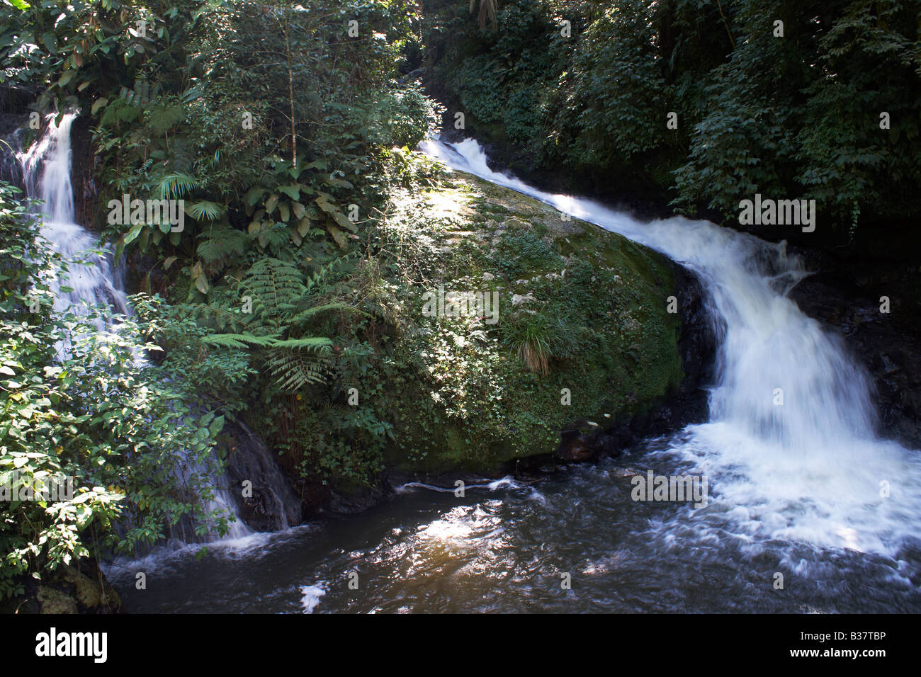 Waterfall in the Rainforest Stock Photo - Alamy