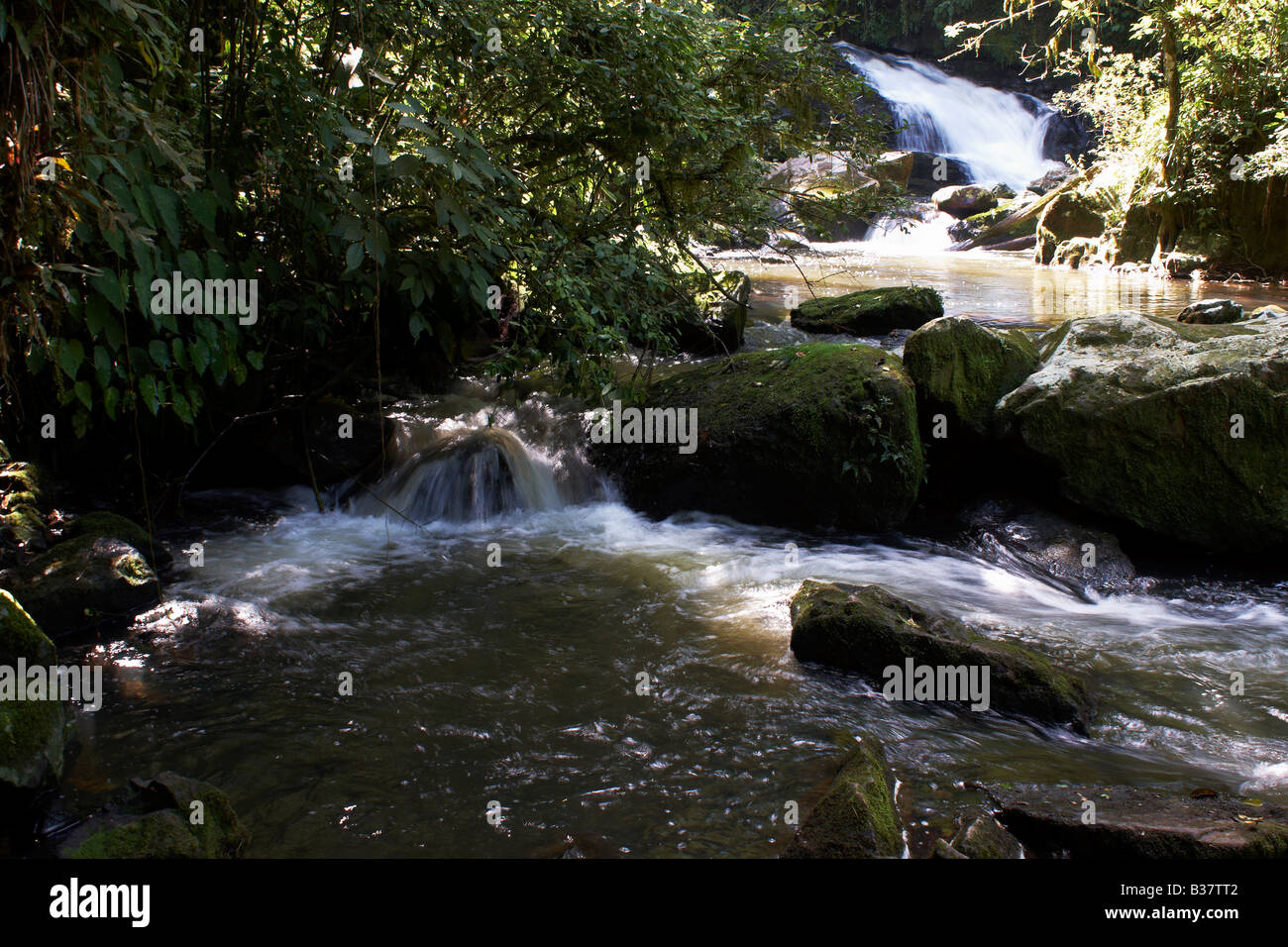 Atlantic forest brazil waterfall hi-res stock photography and images ...