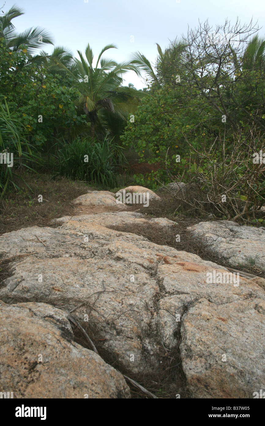 Cliff pathway hi-res stock photography and images - Alamy