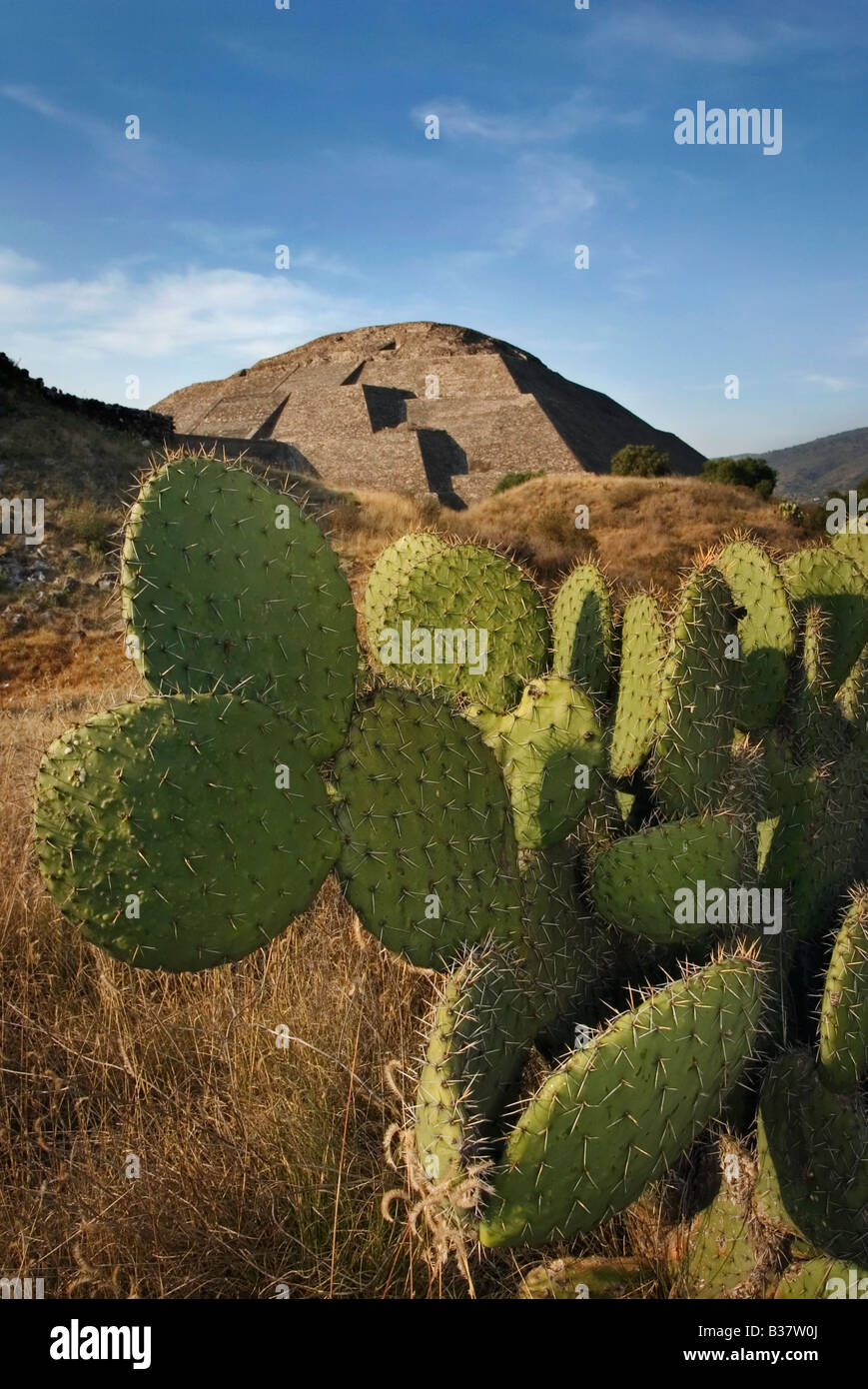 Pyramid of the Moon in the ancient city of Teotihuacan with large nopal ...