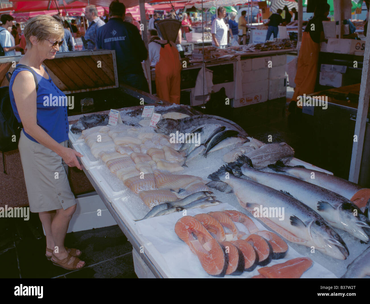 Various fish; cod, salmon, trout, mackerel, monkfish, for sale at a ...