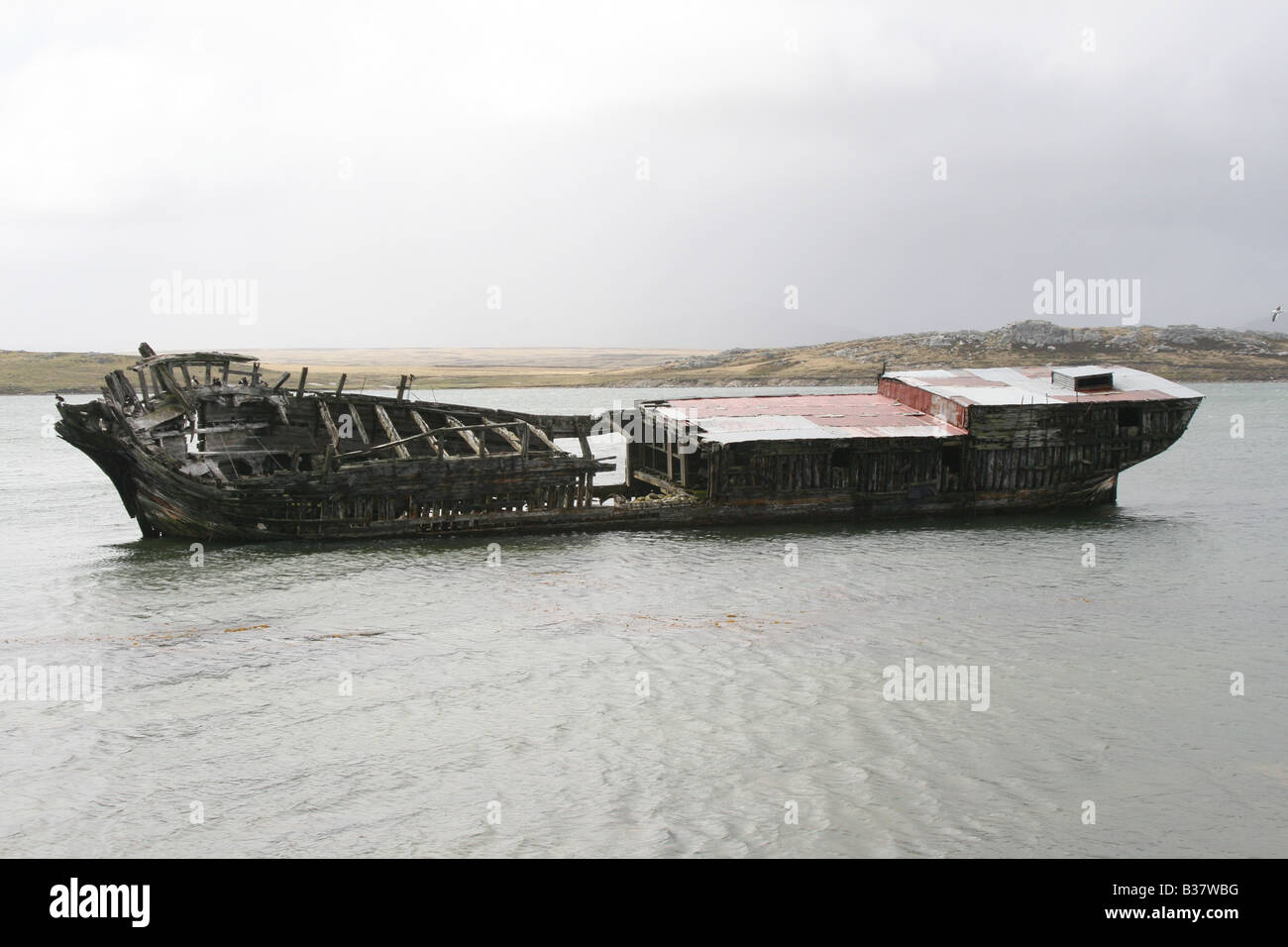 The Jhelum 2, Falkland Islands Stock Photo - Alamy
