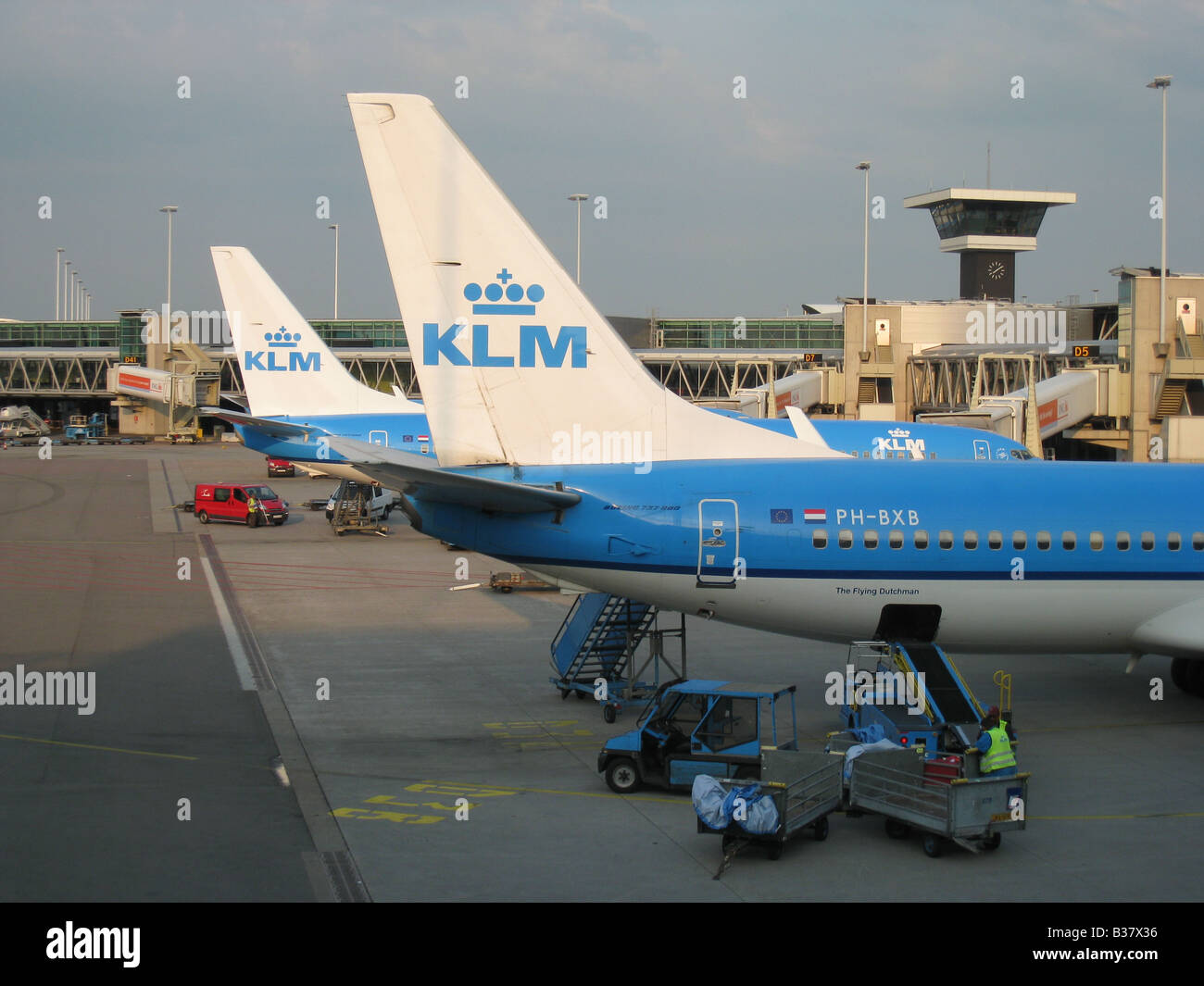 KLM Boeing 737 800 aircraft at gates at Schiphol airport Amsterdam The ...