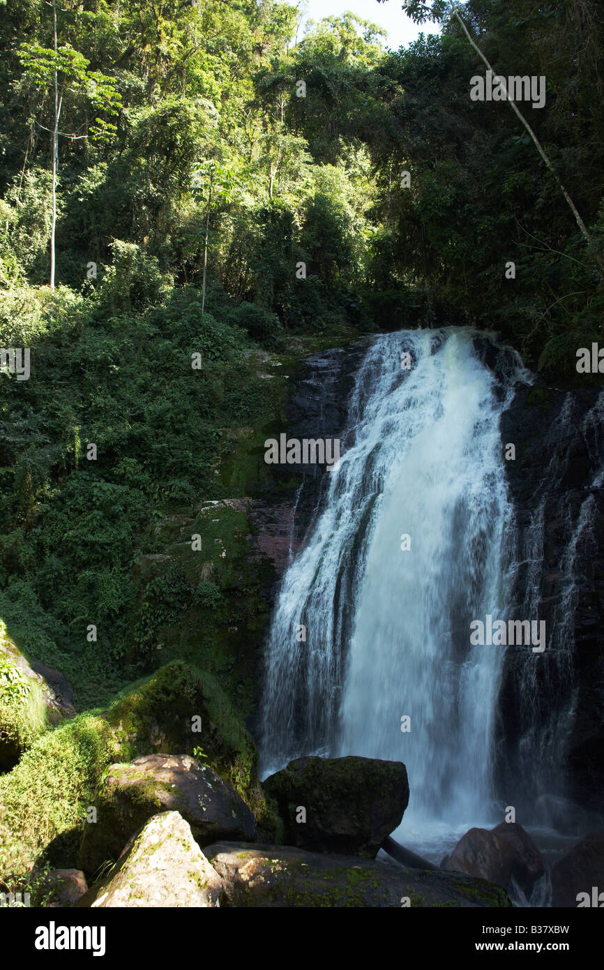 Waterfall in the Atlantic Rainforest Stock Photo - Alamy