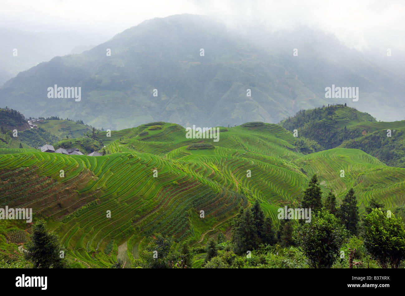 Ping An Rice Terraces Longsheng Longji Guilin China Building started in ...