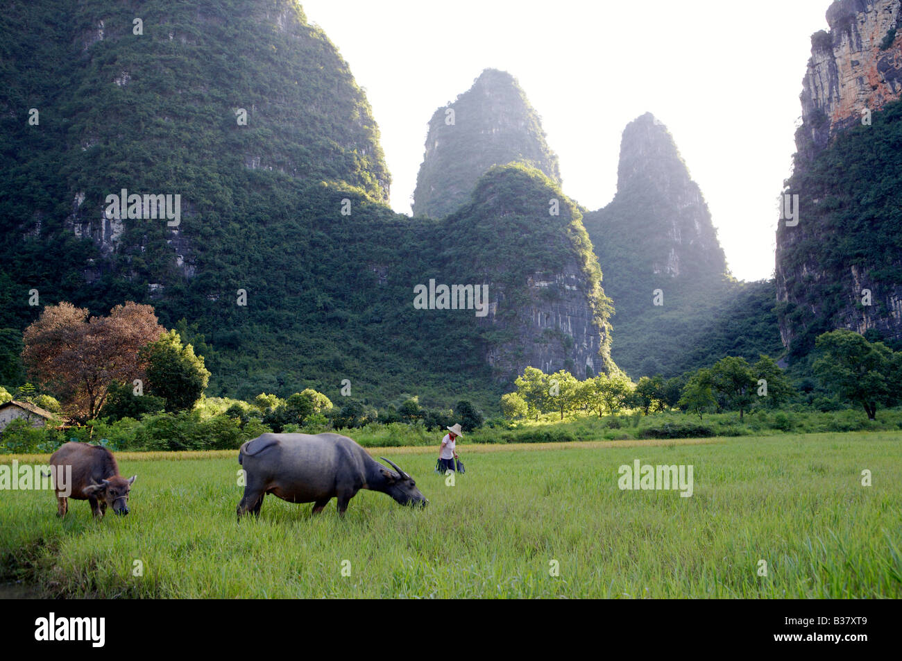 The people and sight of Guilin Southern China Stock Photo - Alamy