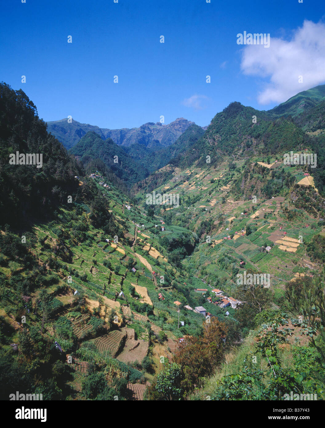 Fields madeira hi-res stock photography and images - Alamy