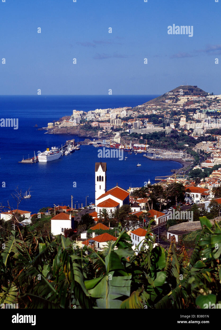 Funchal madeira bay hi-res stock photography and images - Alamy