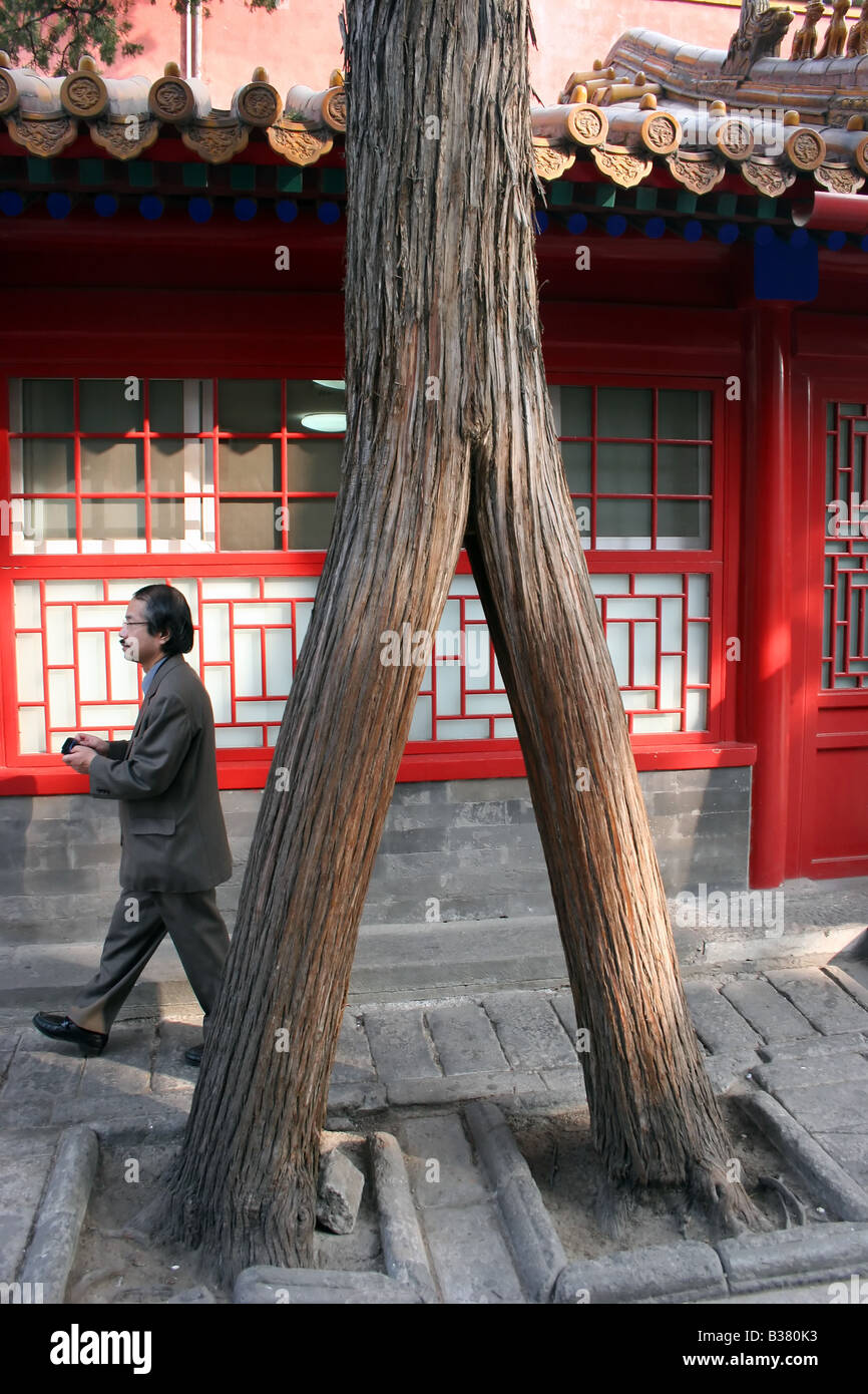 Chinese splits hi-res stock photography and images - Alamy