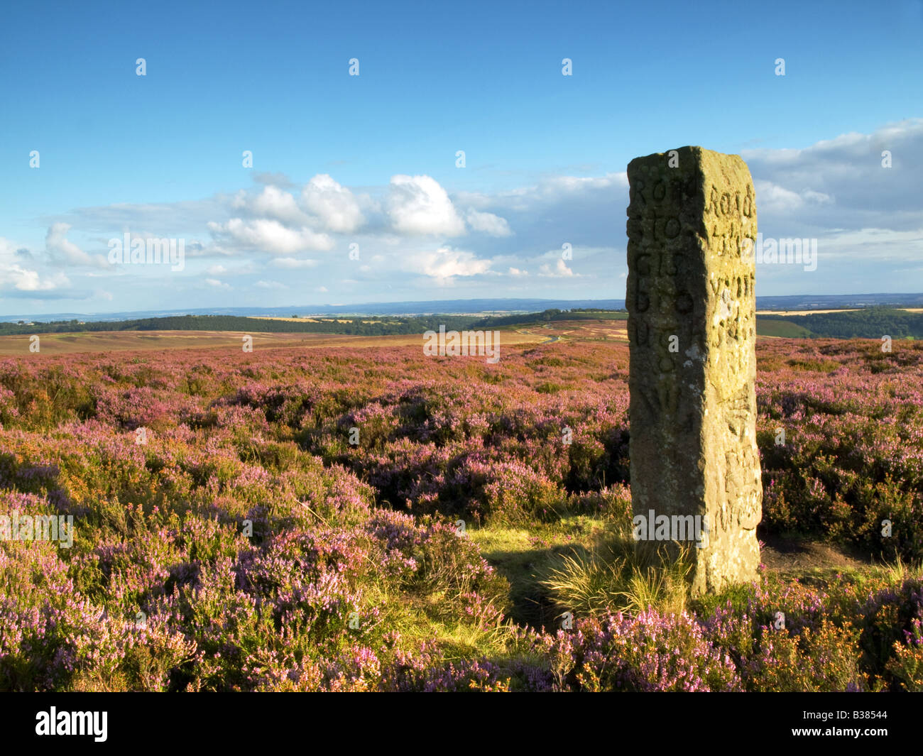 Blakey hi-res stock photography and images - Alamy