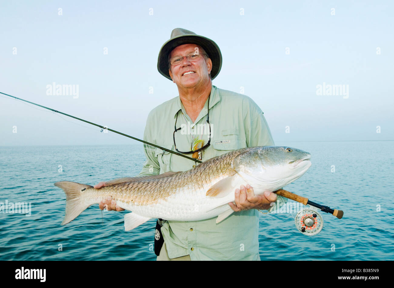 Red drum redfish sciaenops hi-res stock photography and images - Alamy