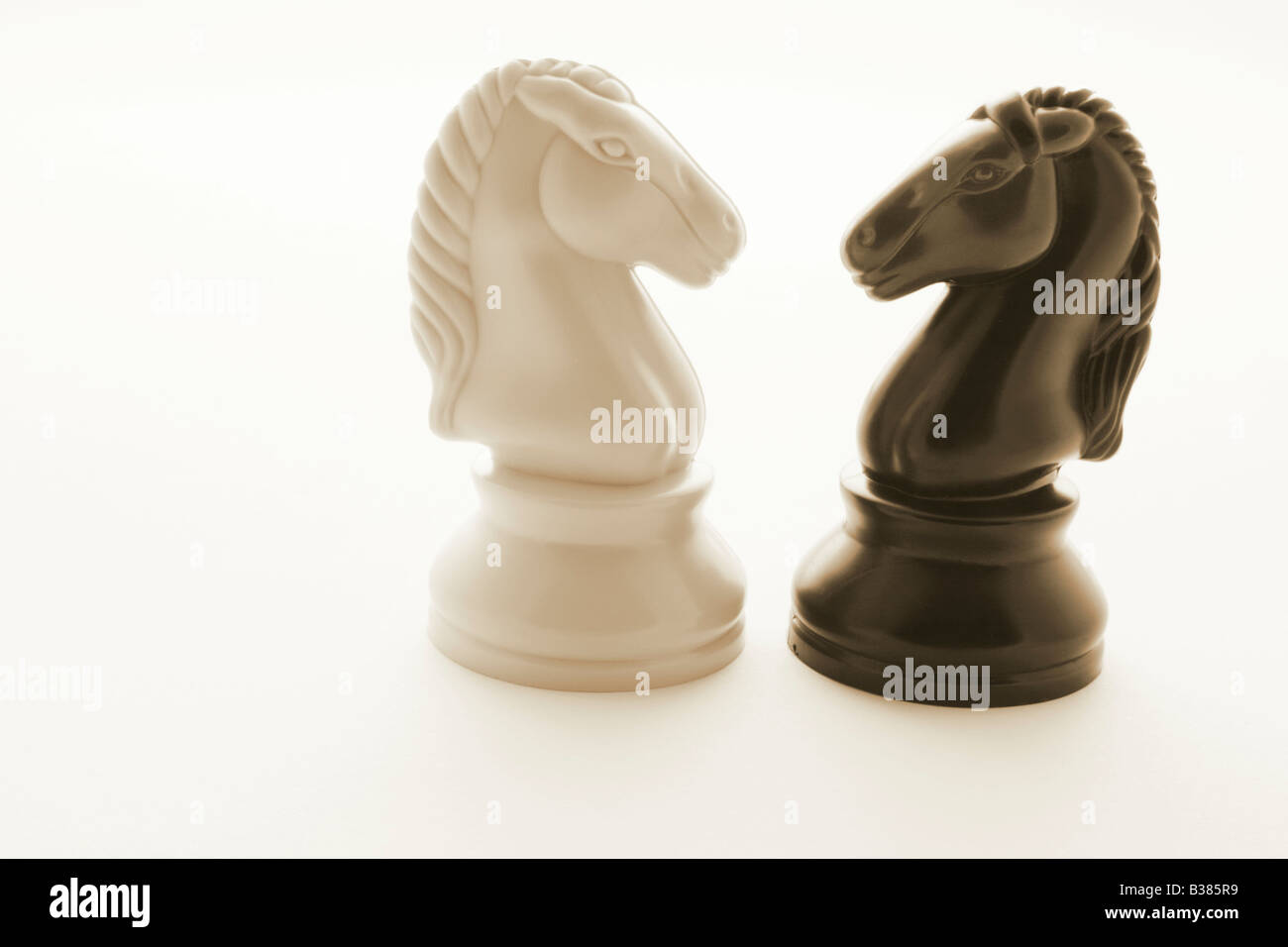 Knight Chess Pieces Stock Photo - Alamy