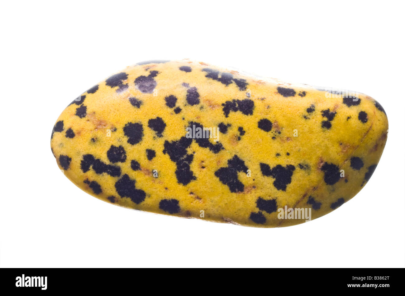 Yellow Dalmatian Jasper tumblestone Stock Photo - Alamy