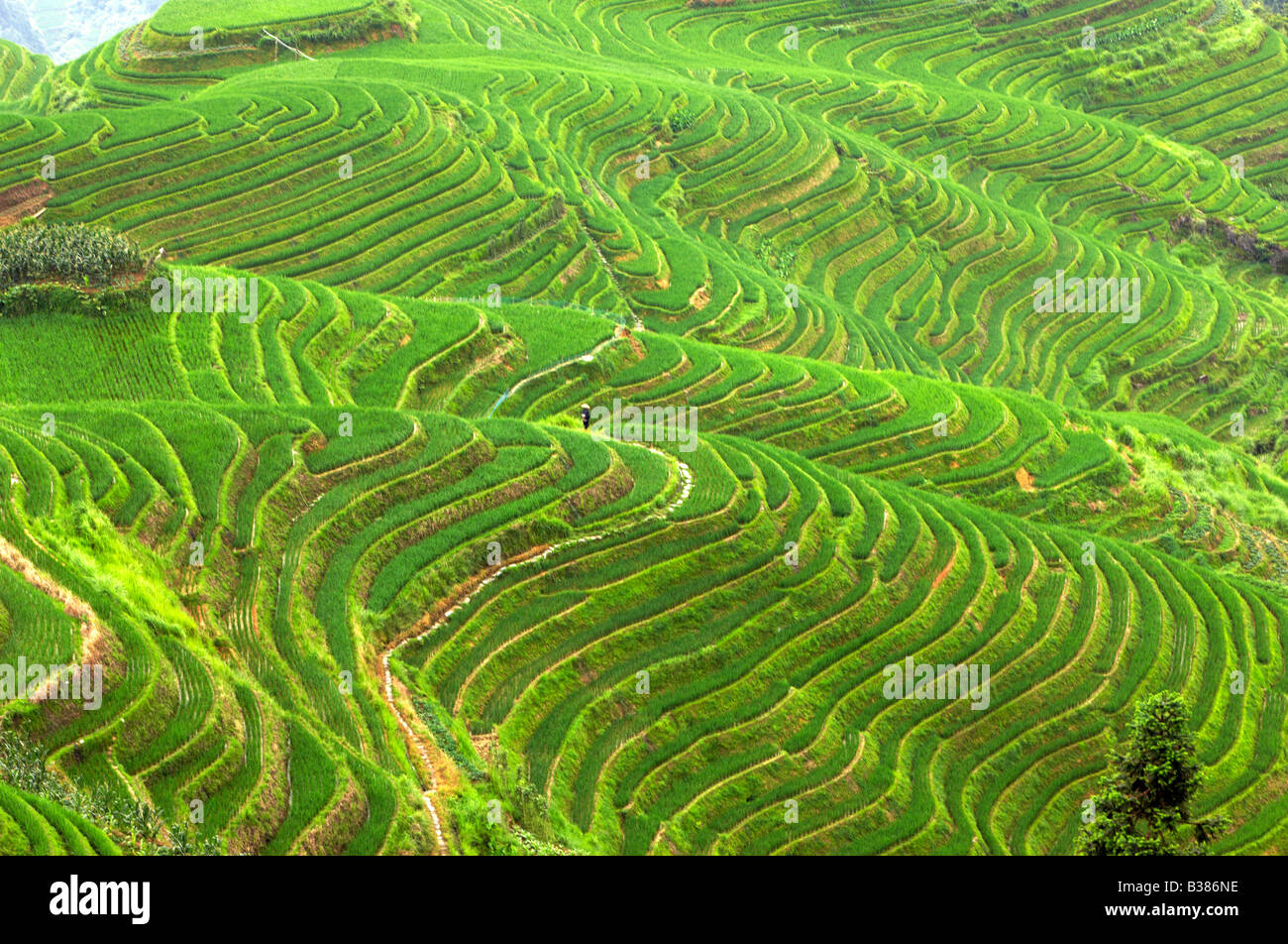 Ping An Rice Terraces Longsheng Longji Guilin China Building started in ...