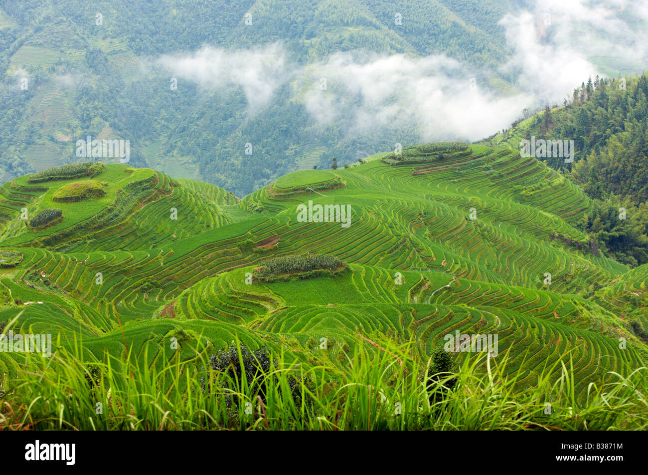 Ping An Rice Terraces Longsheng Longji Guilin China Building started in ...