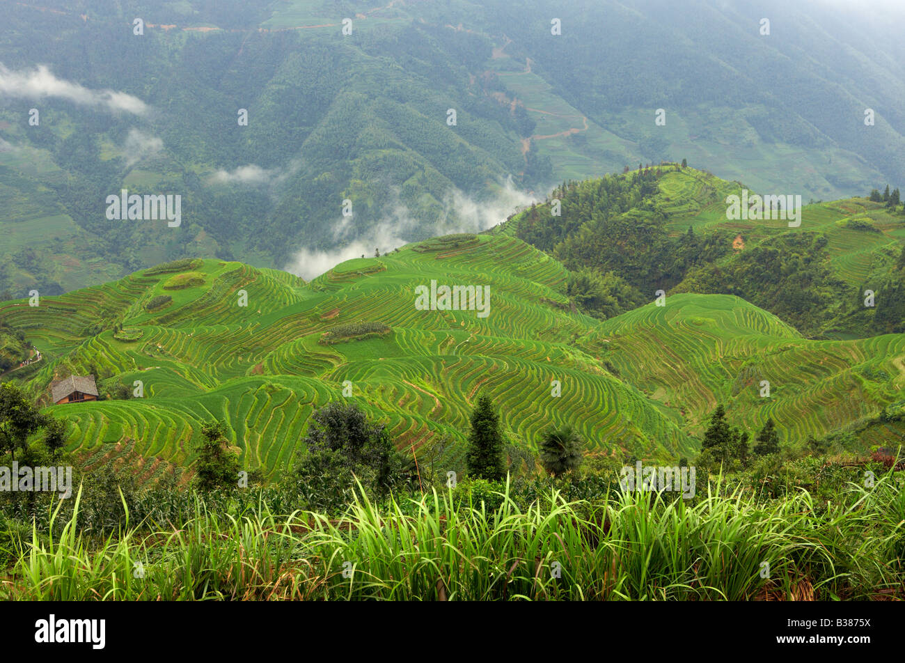 Ping An Rice Terraces Longsheng Longji Guilin China Building started in ...