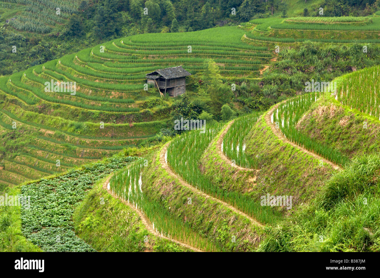 Ping An Rice Terraces Longsheng Longji Guilin China Building started in ...
