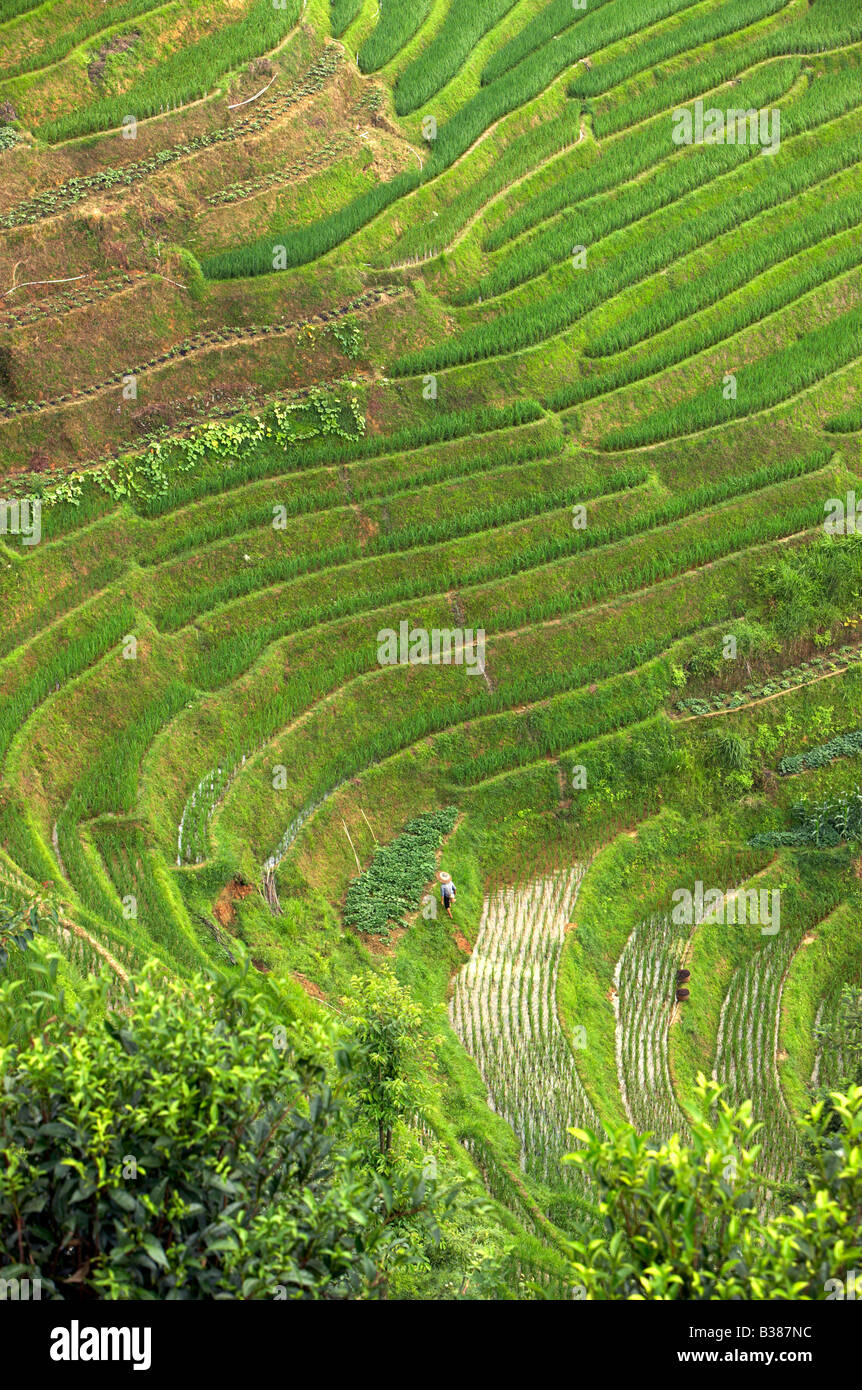 Ping An Rice Terraces Longsheng Longji Guilin China Building started in ...