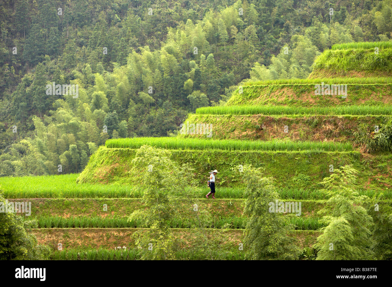 Ping an village, longsheng, china hi-res stock photography and images ...