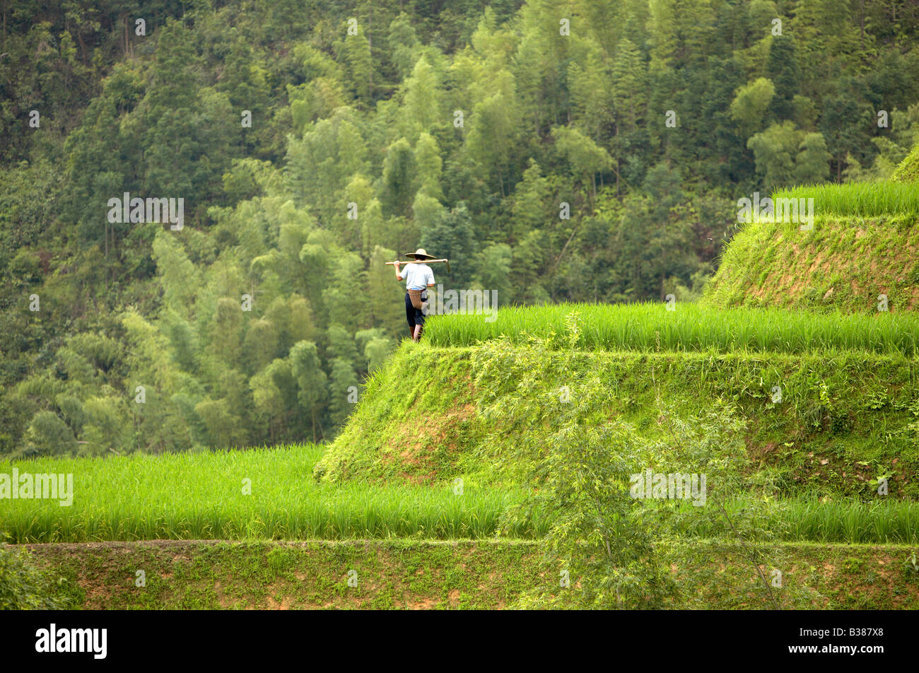 Ping An Rice Terraces Longsheng Longji Guilin China Building started in ...
