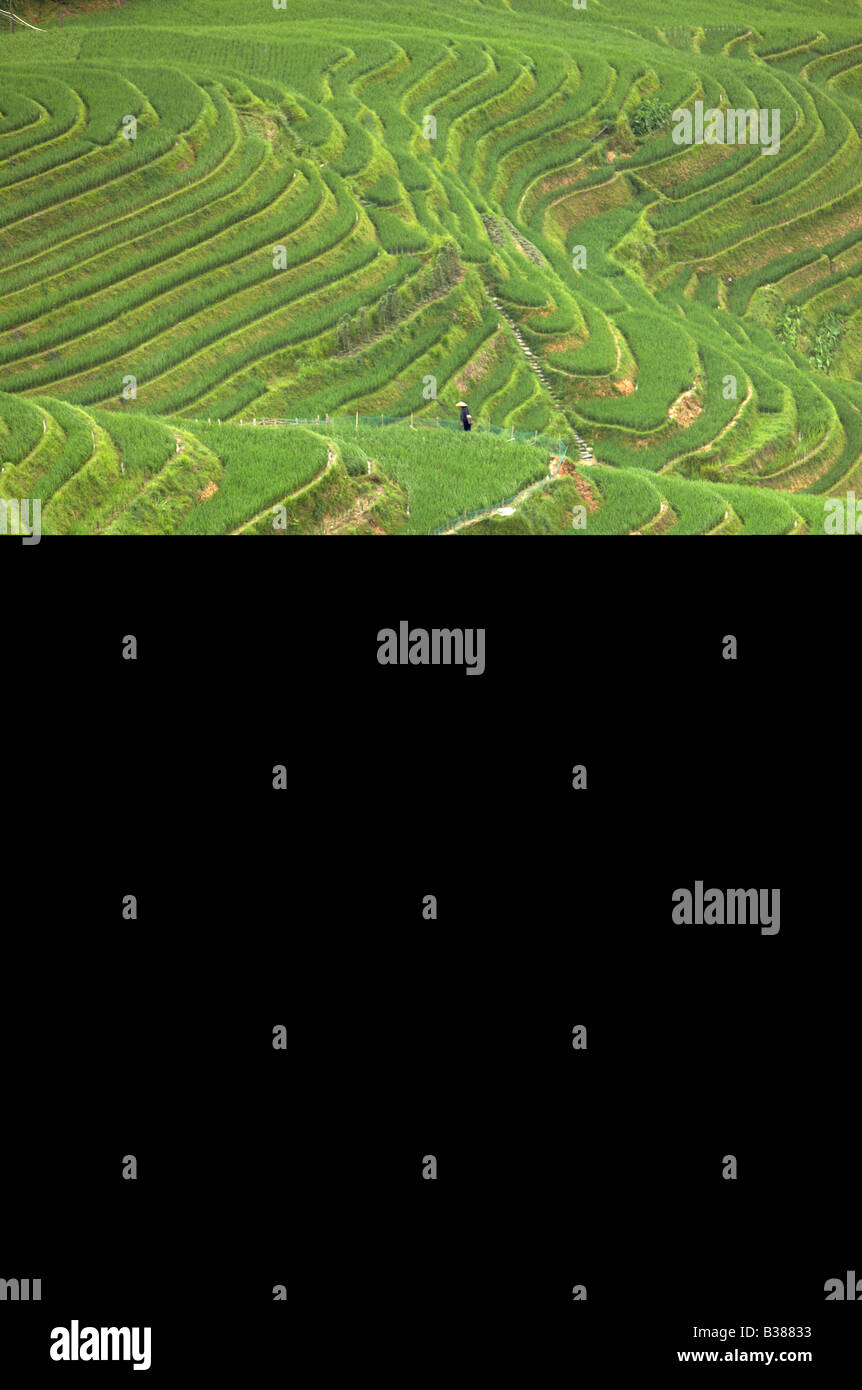 Ping An Rice Terraces Longsheng Longji Guilin China Building started in ...