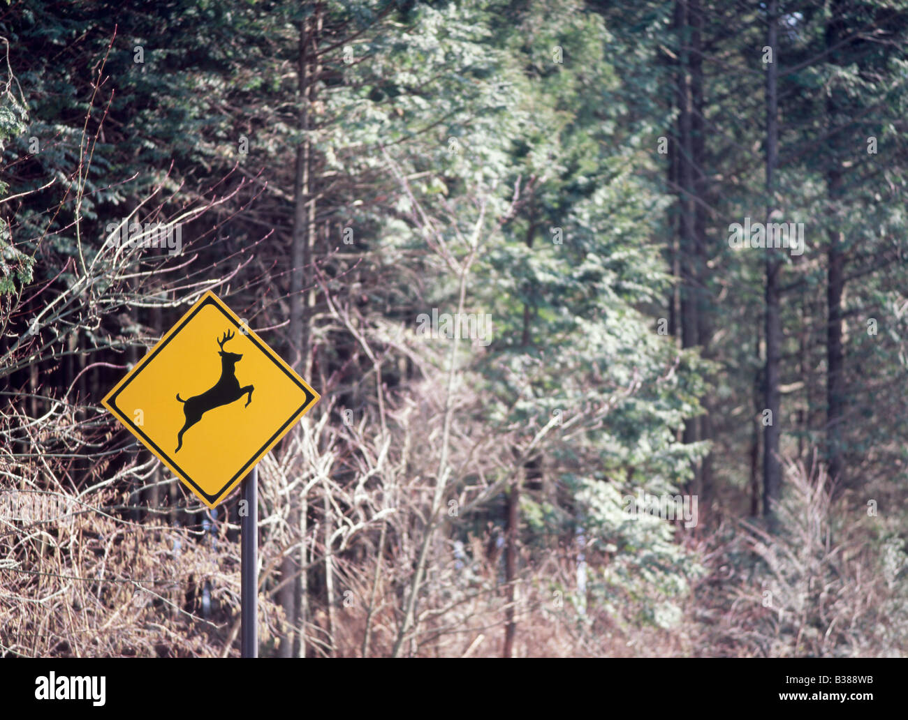 Animal sign japan hi-res stock photography and images - Alamy