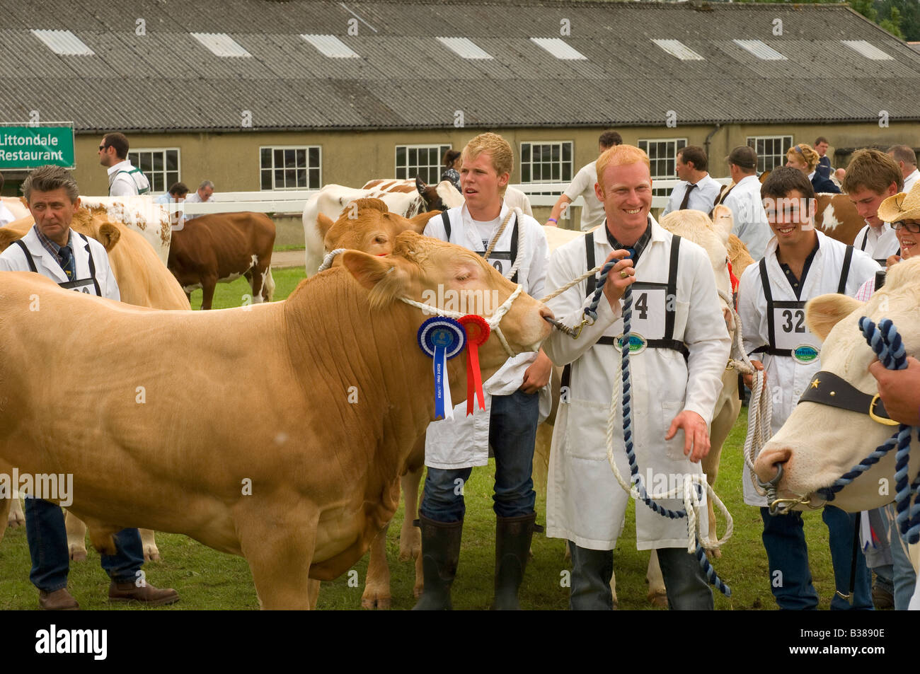 Farmers at cattle judging at the Great Yorkshire Show Harrogate North ...