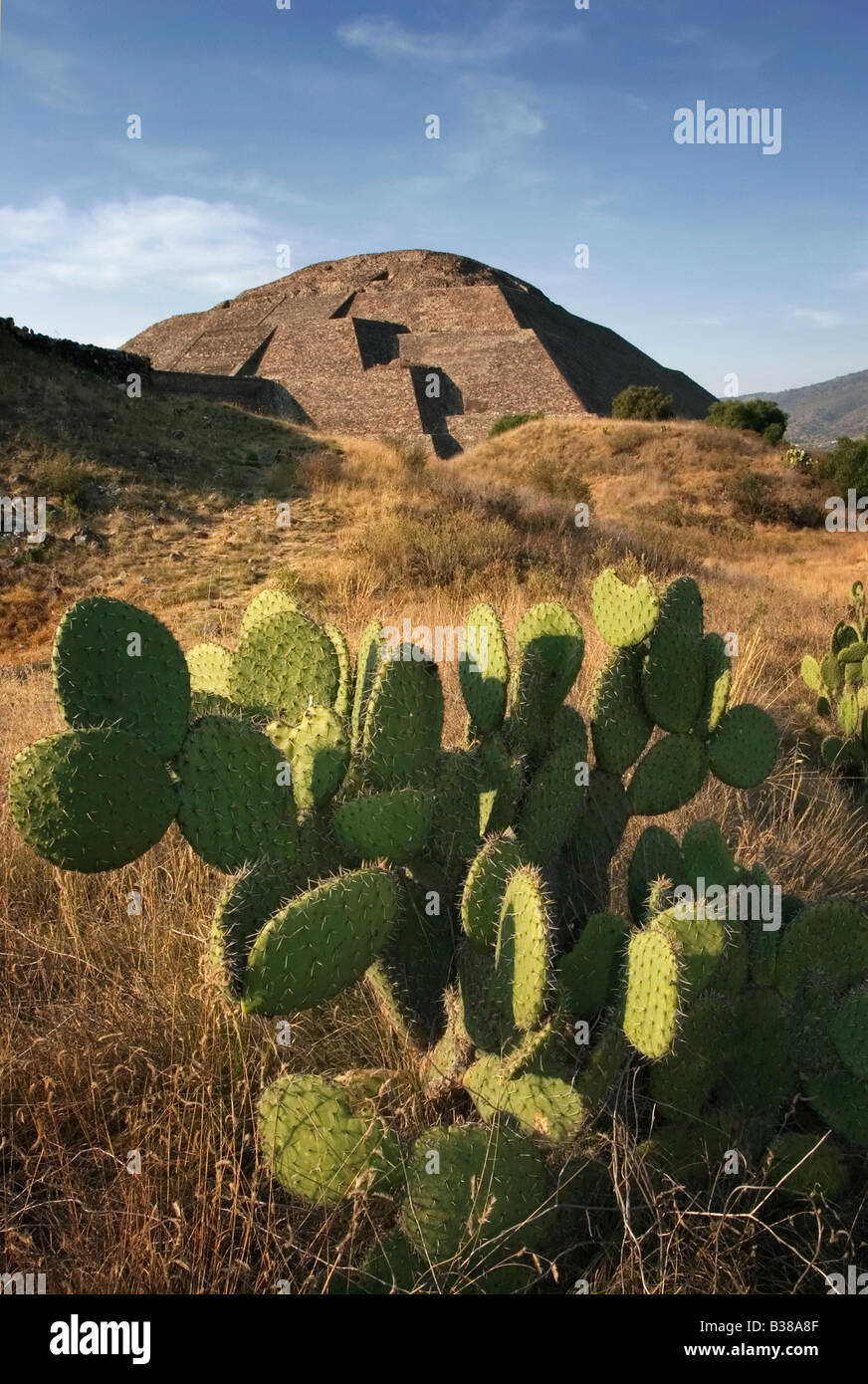 Pyramid of the Moon in the ancient city of Teotihuacan with large nopal ...