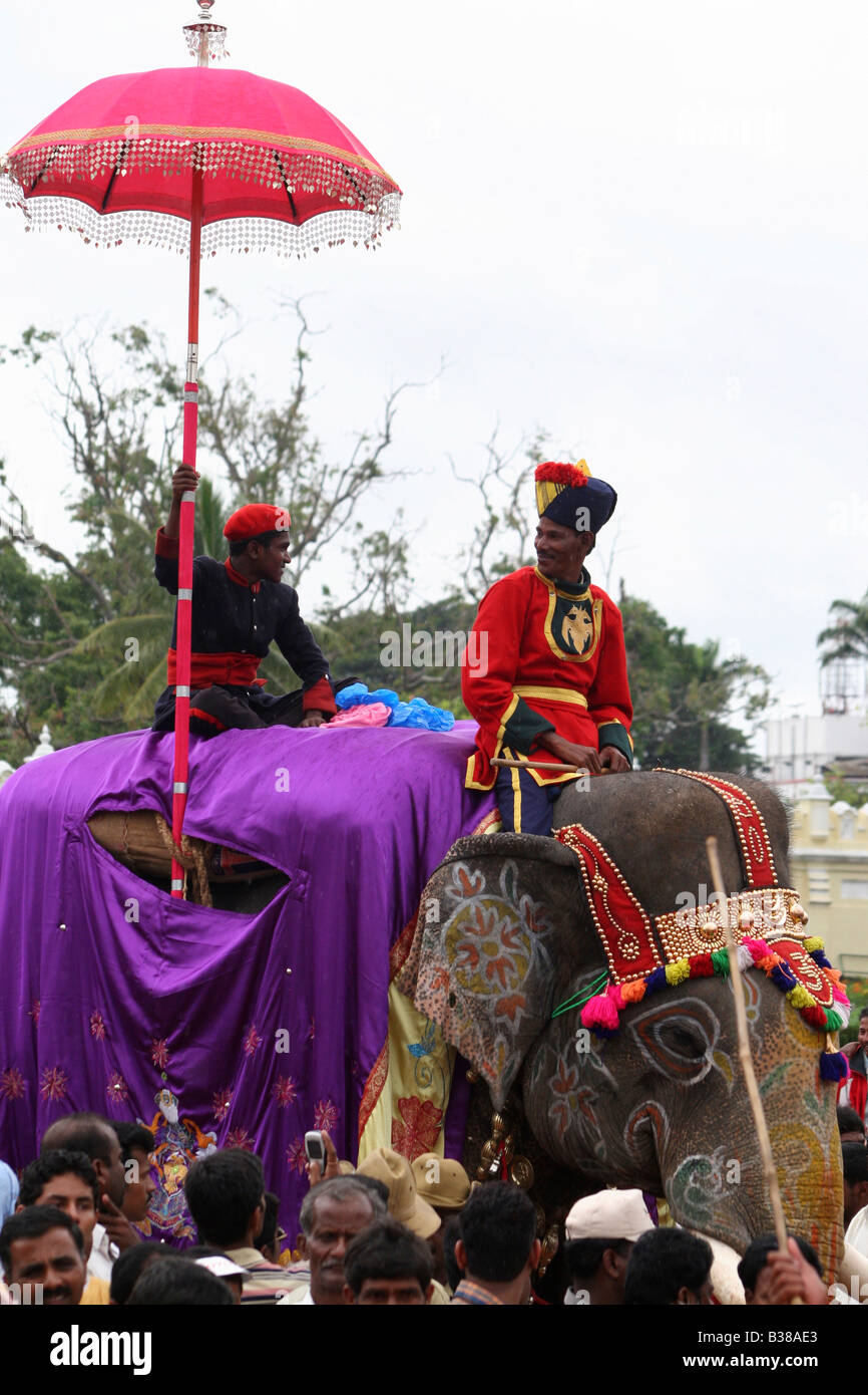 Caparisoned elephants lead the Dasara procession in Mysore, India Stock ...