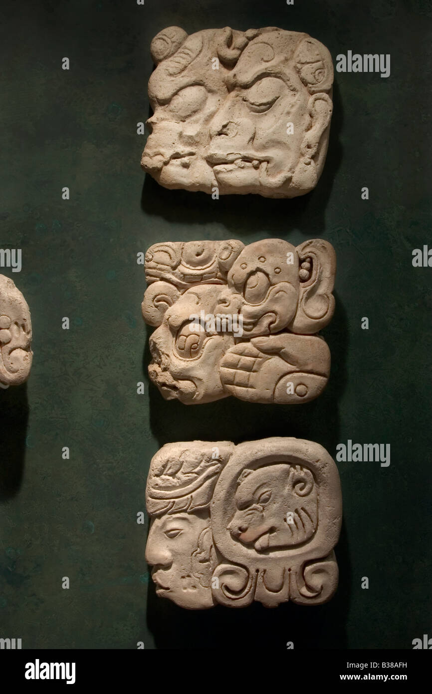 Mayan Glyphs in National Museum of Anthropology in Mexico City Stock ...