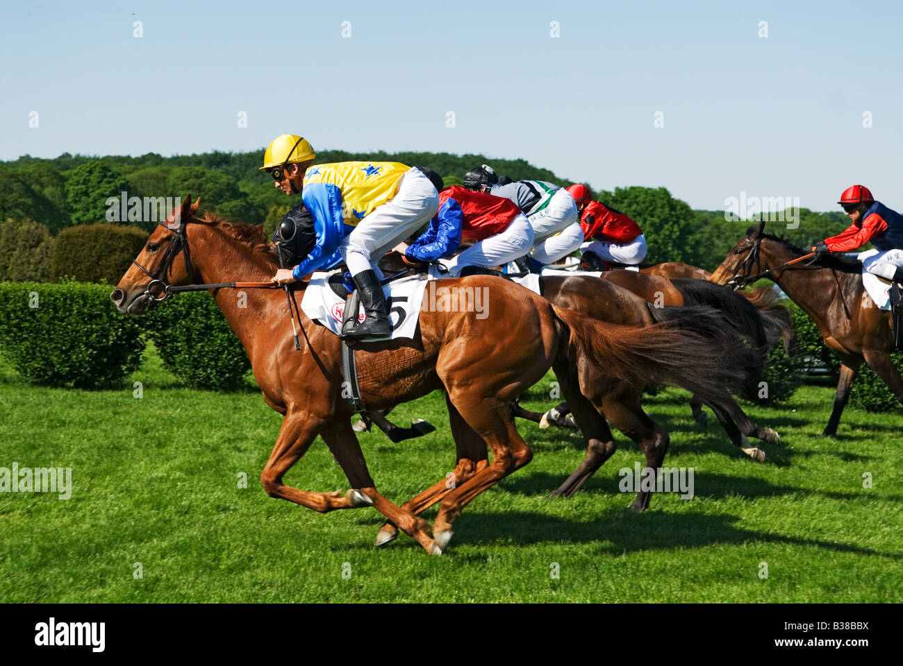 The race horse hi-res stock photography and images - Alamy