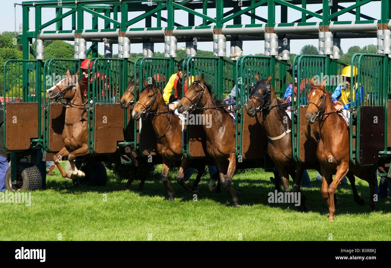 start of a horse race Stock Photo - Alamy