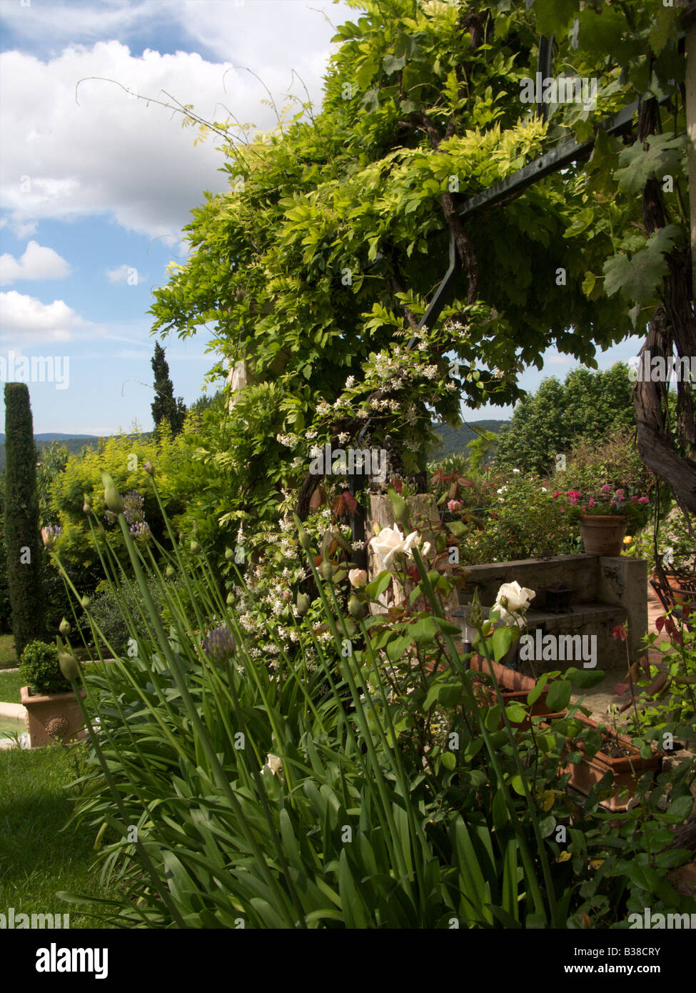 A luscious green provencal garden, France, Europe Stock Photo - Alamy
