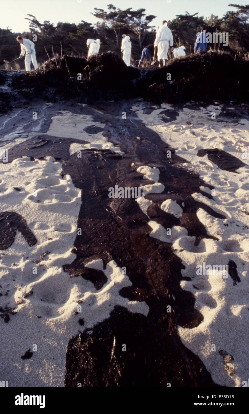 Oiled covered beach, Brittany, France during the Erica oil spill ...