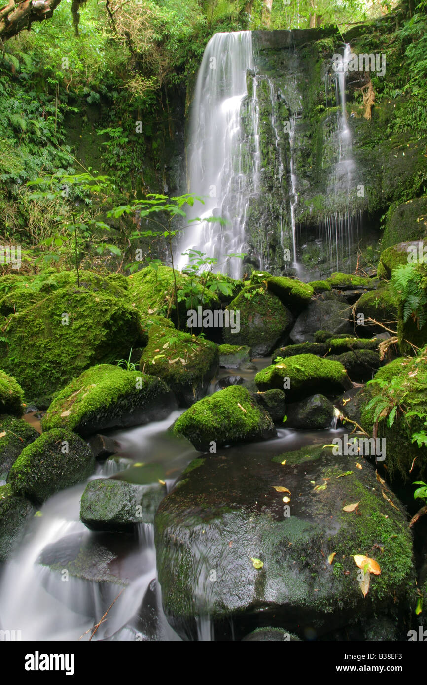 Matai Falls, The Catlins, New Zealand Stock Photo - Alamy