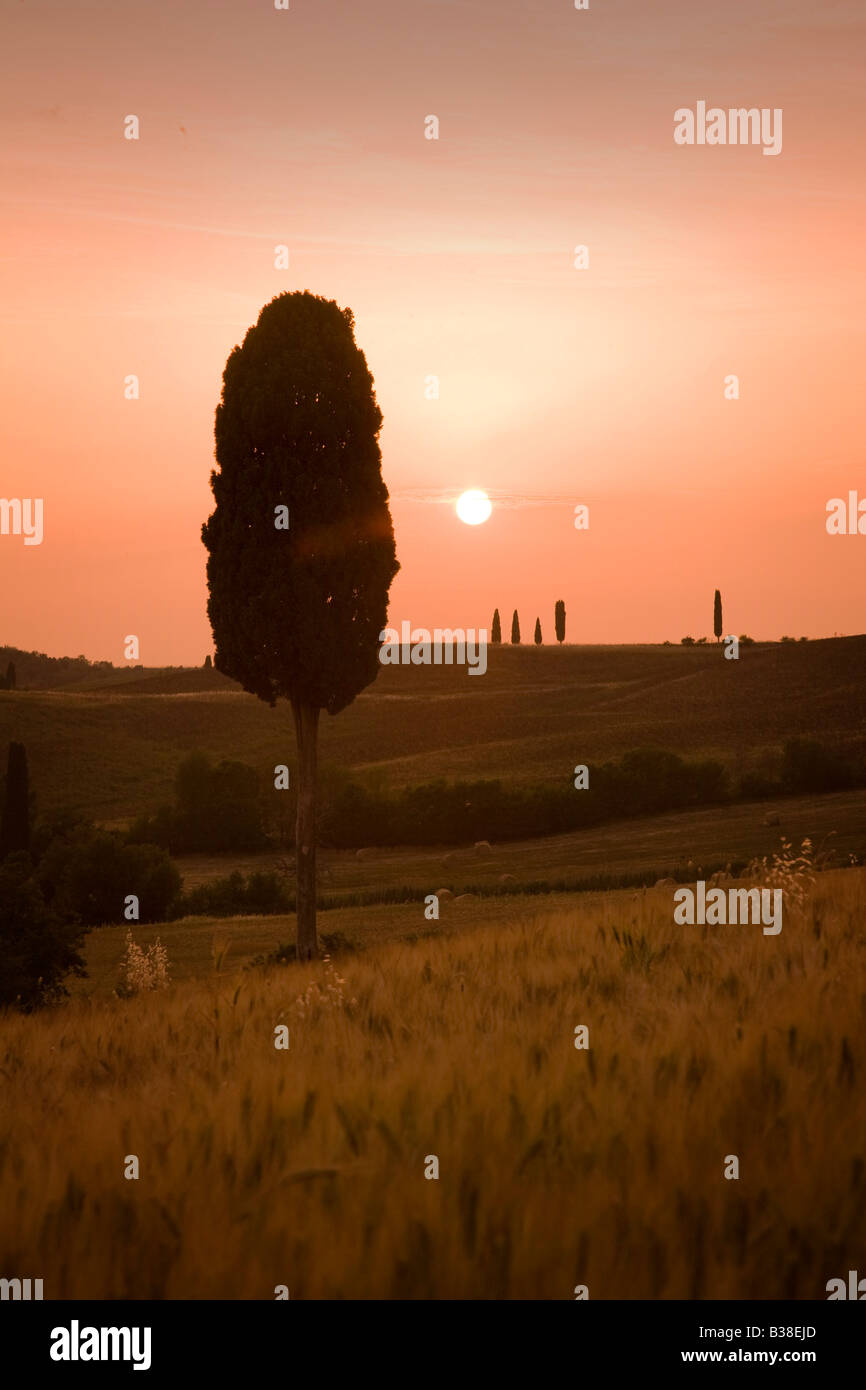 Classic views tuscany in hi-res stock photography and images - Alamy