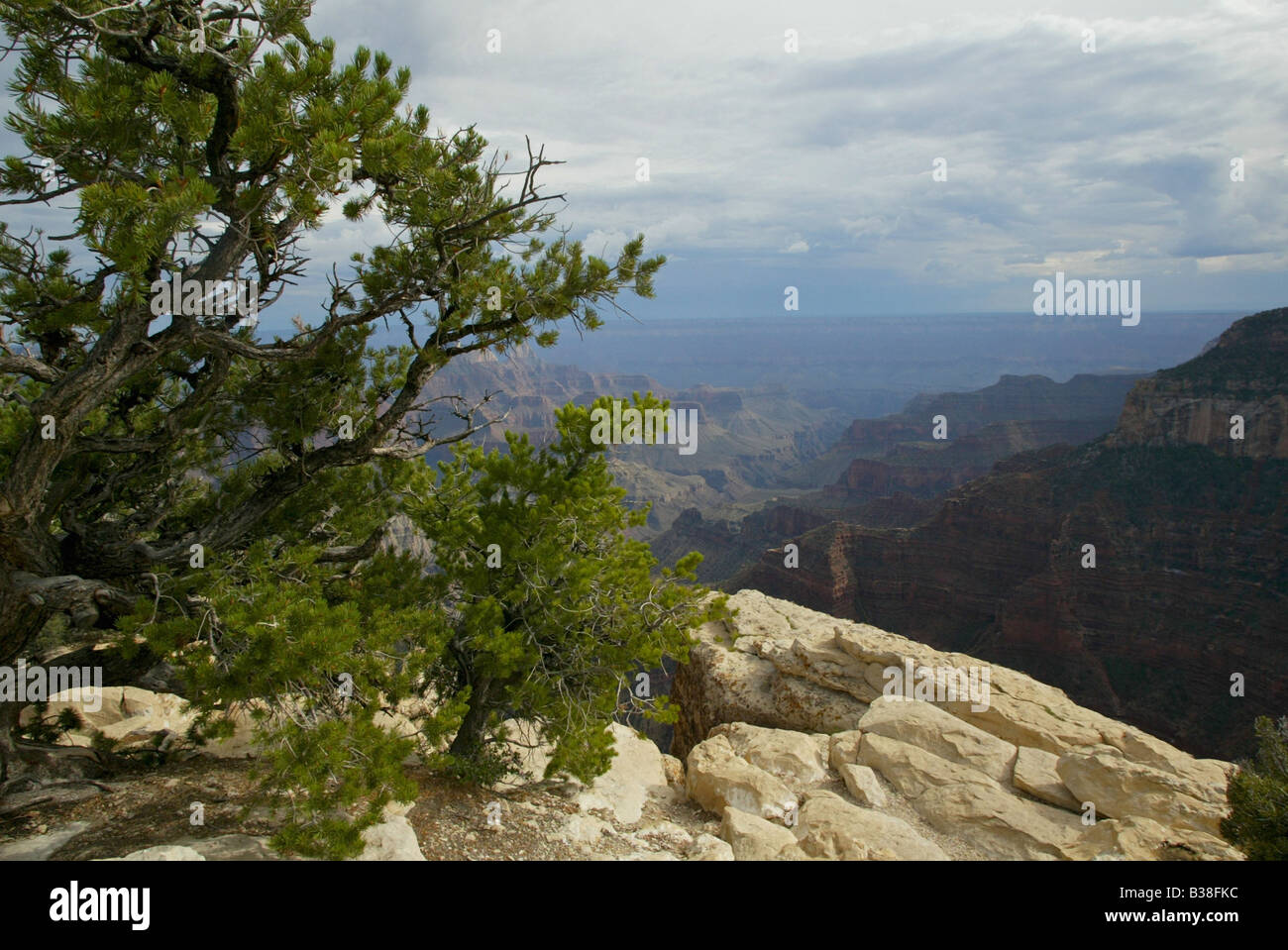 View of the north rim of the Grand Canyon from Bright Angel Point Grand ...