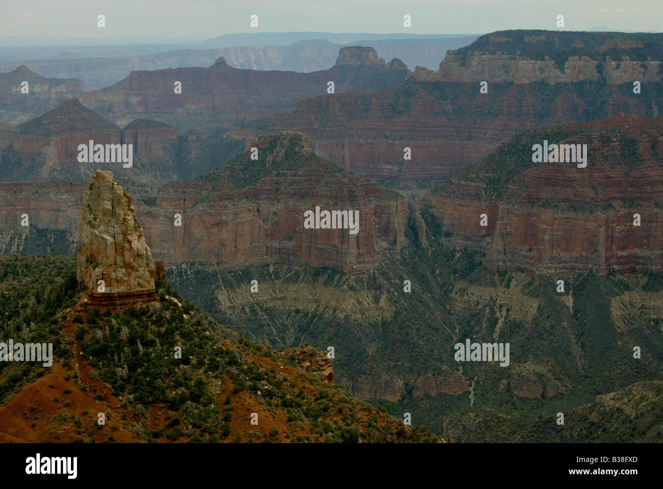 View of the north rim of the Grand Canyon from Bright Angel Point Grand ...