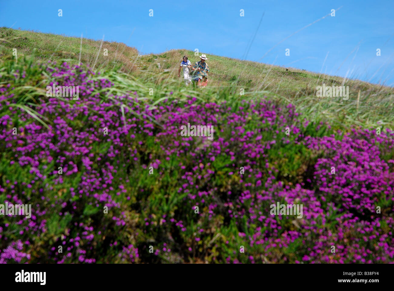Monts darree hi-res stock photography and images - Alamy