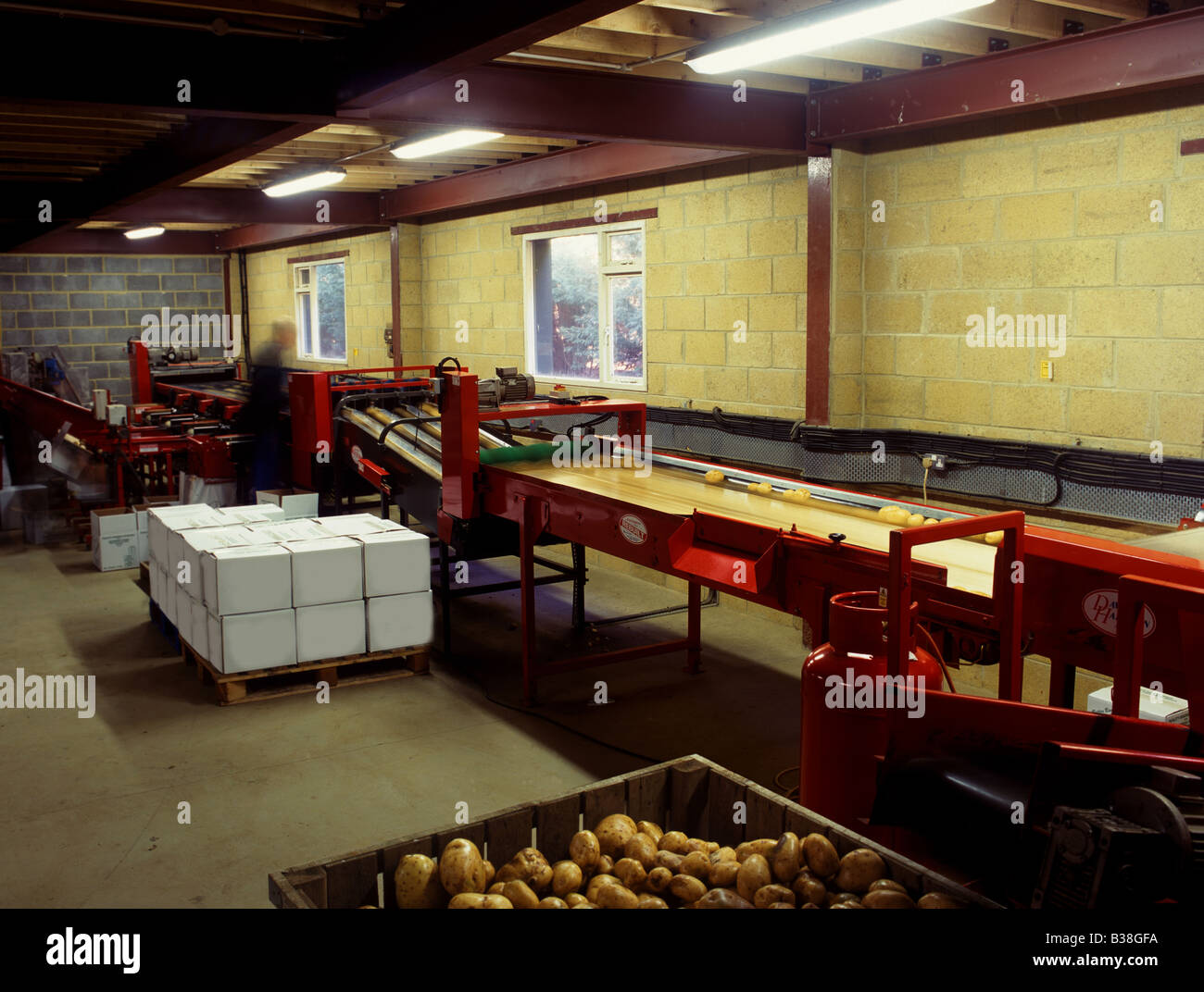 Inside of a potato or potatoe processing plant operation on a rural ...