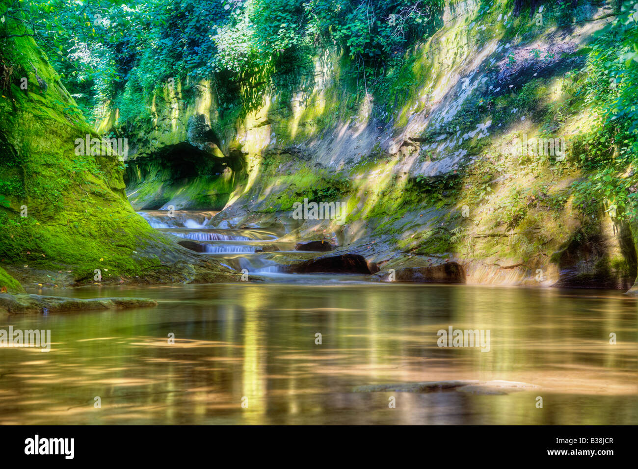 Indiana forest hi-res stock photography and images - Alamy