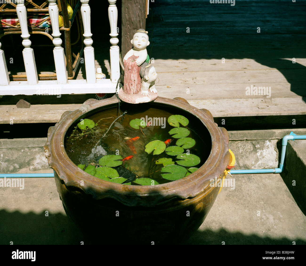 Gold Fish Tank Stock Photo - Alamy