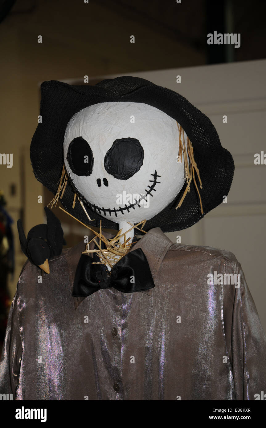 Scarecrow crow hi-res stock photography and images - Alamy