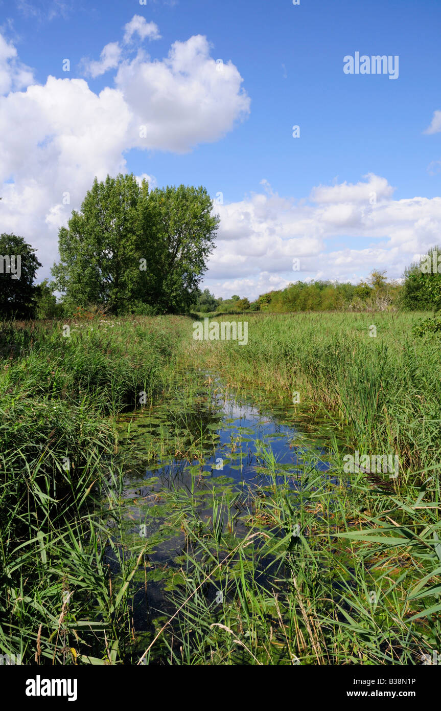 Fowlmere rspb nature reserve hi-res stock photography and images - Alamy