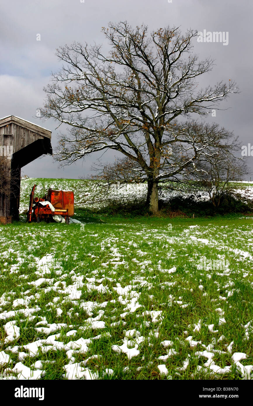 Farm shed and oak tree chiemgau bavaria germany hi-res stock ...