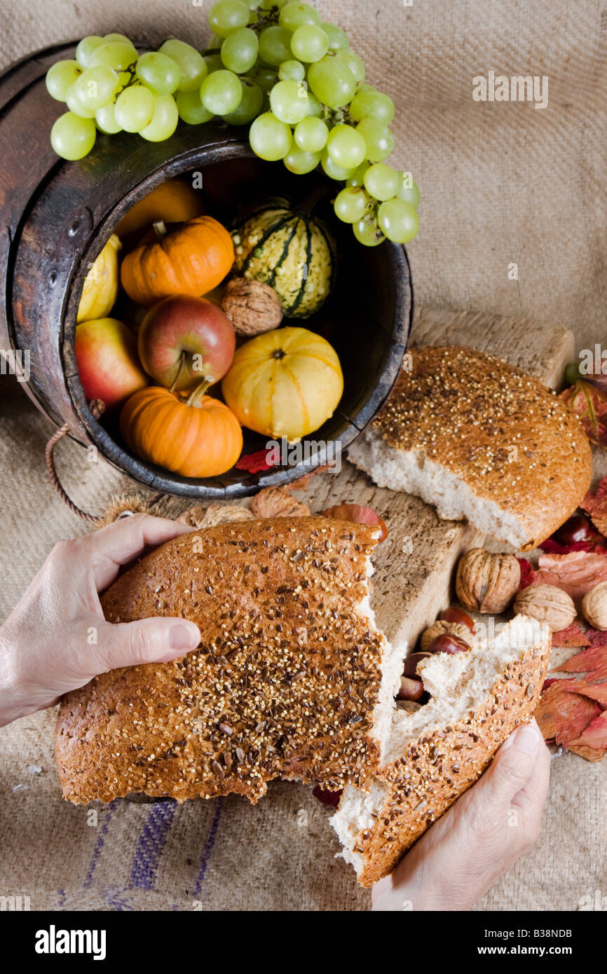 Breaking gourd hi-res stock photography and images - Alamy